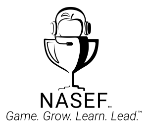 Partners – Esports VI